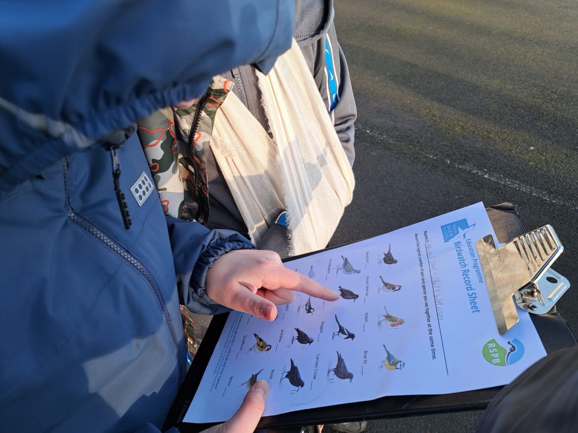 The RSPB's Big Schools' Birdwatch 2024 with Manx BirdLife